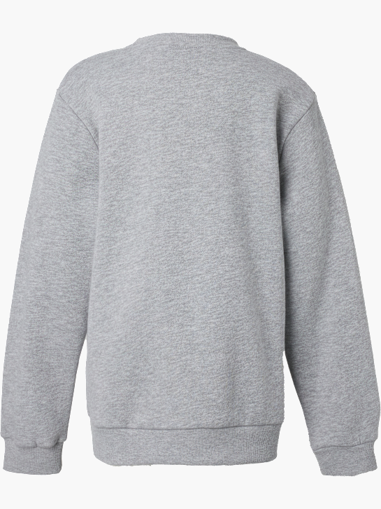 Minecraft Sweat Gris | DEICHMANN