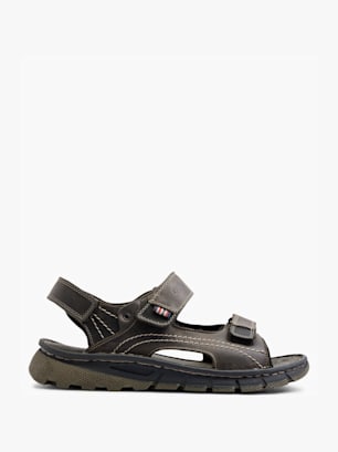 Gallus für Herren online kaufen | DEICHMANN